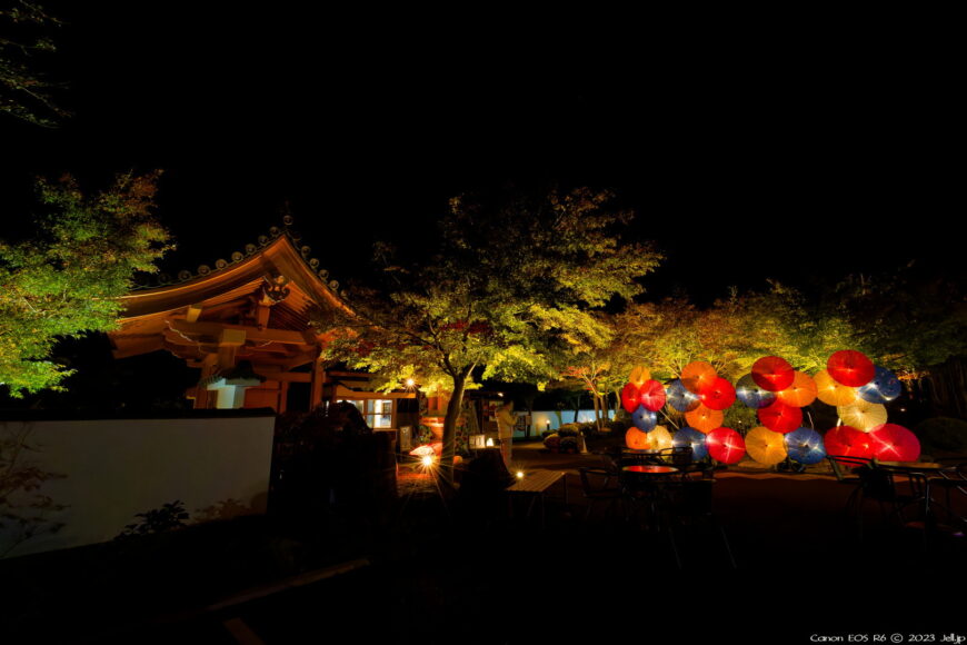 秋の床もみじ特別公開 2023宝徳寺 お出掛け写真撮ろうよ