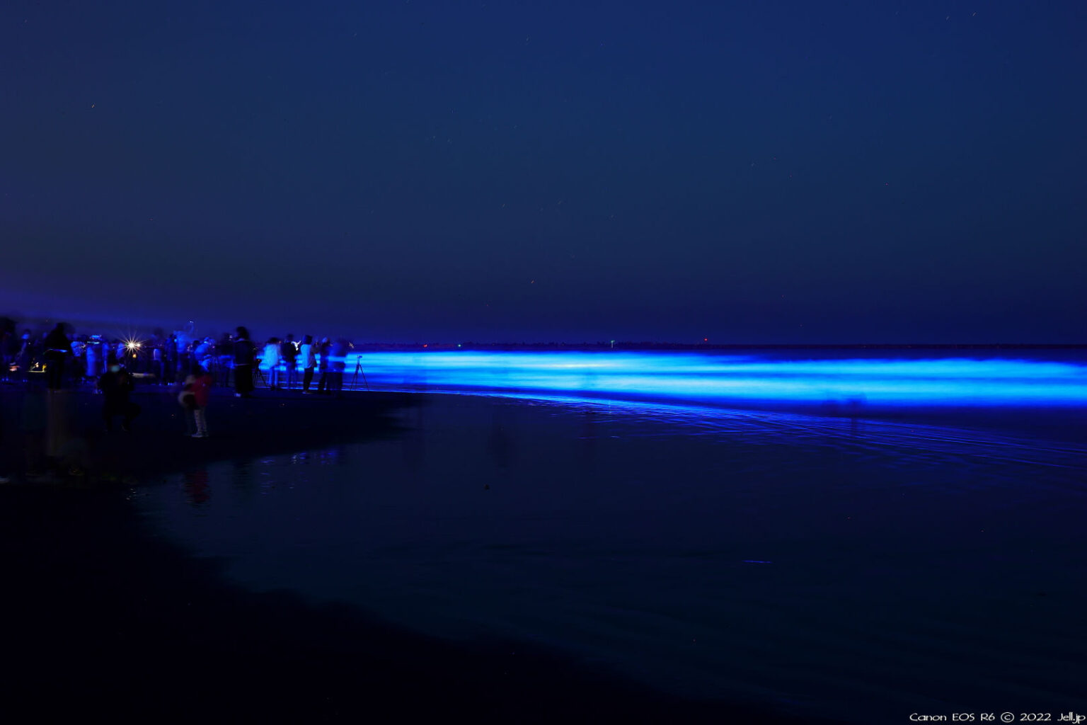 NIGHT WAVE 海のイルミネーション in 大洗 | お出掛け＆写真撮ろうよ♪